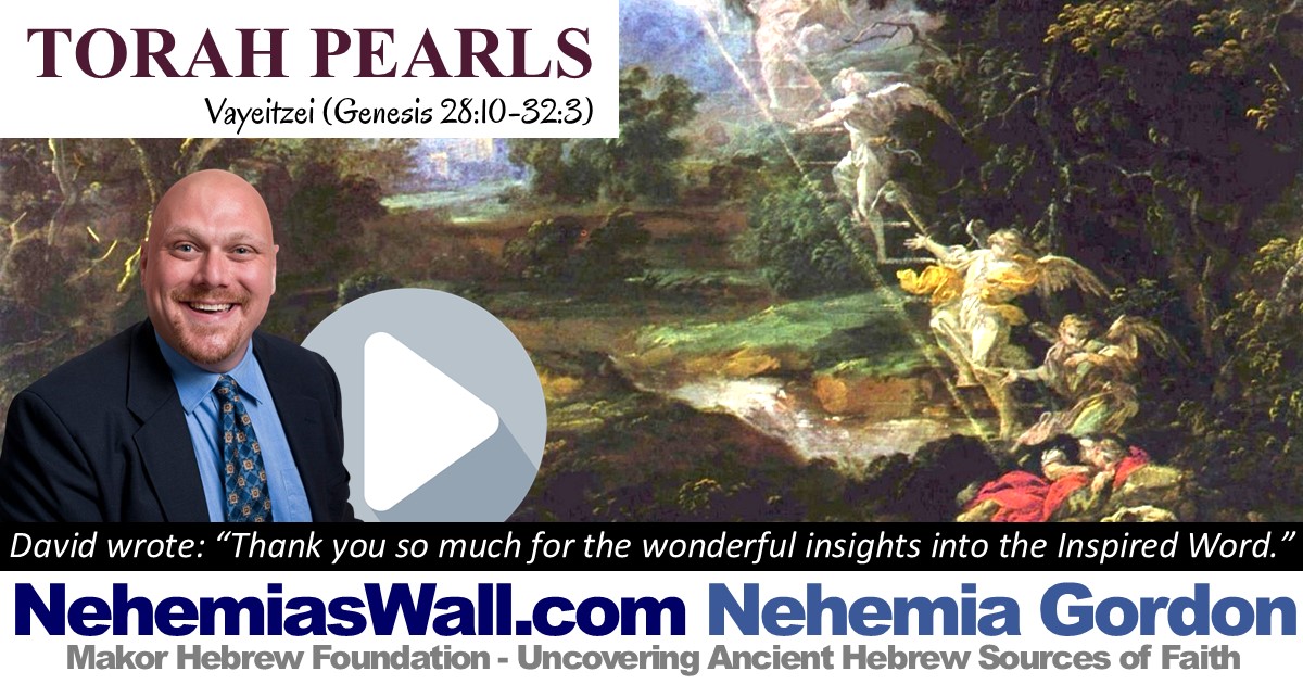 Vayeitzei (Genesis 28:10-32:3) - Original Torah Pearls - NehemiasWall.com
